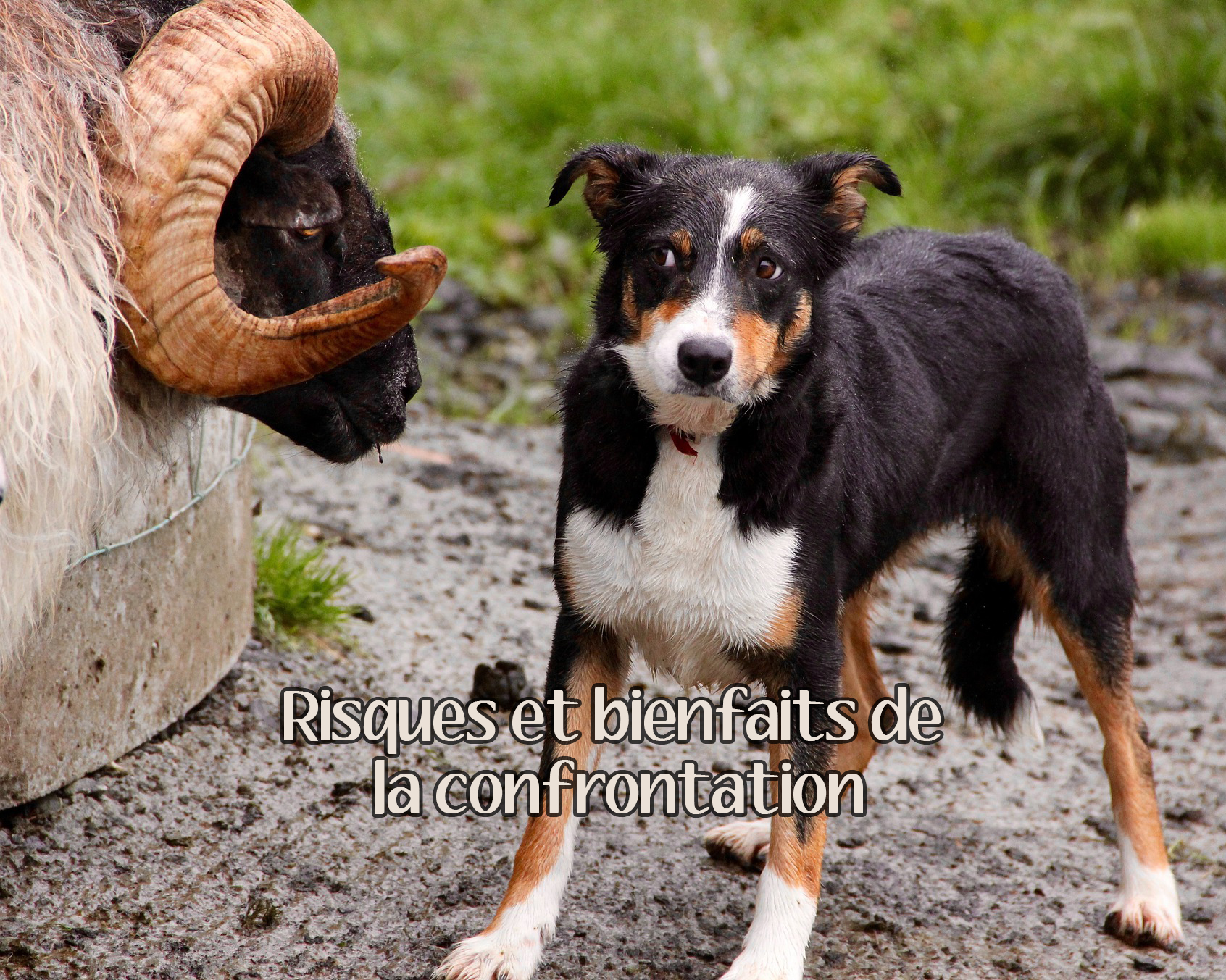 Accepter la confrontation à l'autre pour améliorer la relation